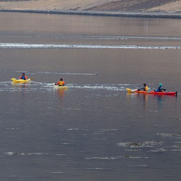 Calm Water Kayaking | Borea Adventures